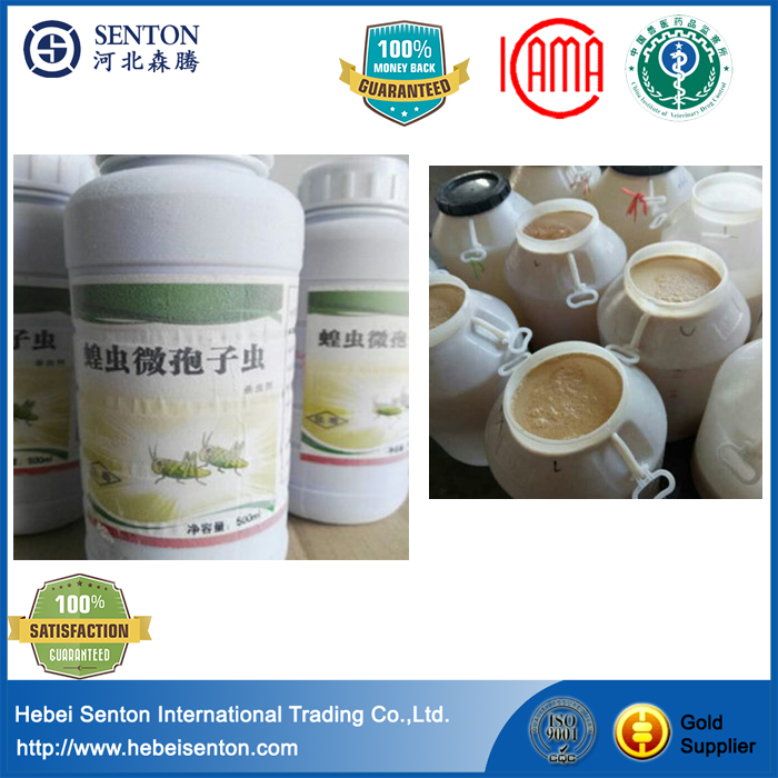 China Nosema Locustae Bait For Grasshopper Control manufacturers and ...