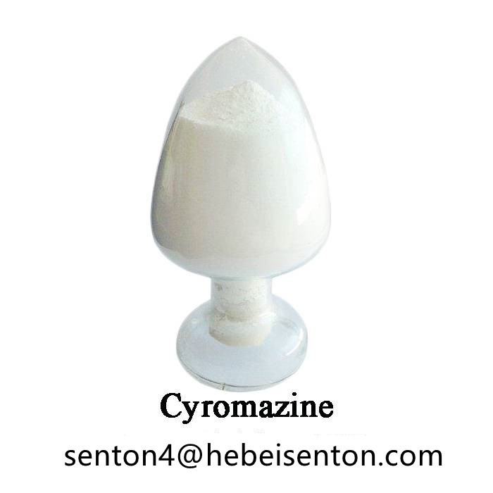 China White Powder To Control Flies Cyromazine manufacturers and ...