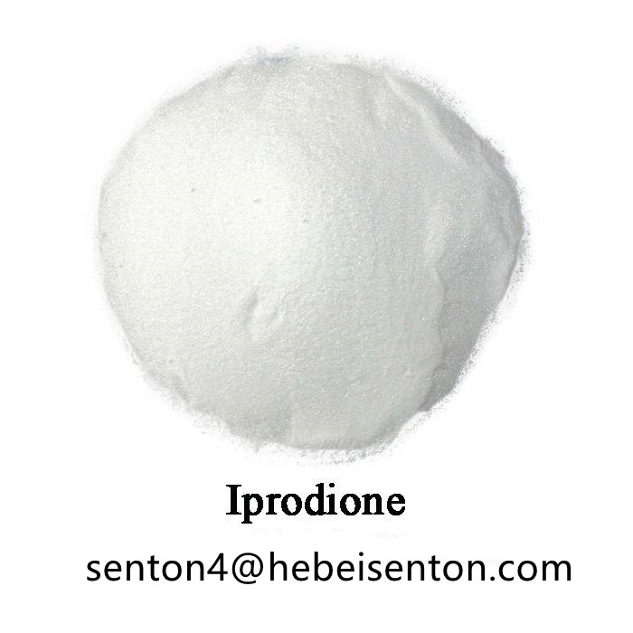 China Broad Spectrum Contact Fungicide Iprodione manufacturers and ...